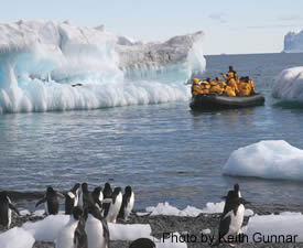 Quark Expeditions Cruises, Quark Expeditions Cruise, Quark Expeditions ...