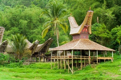 Language: Indonesian