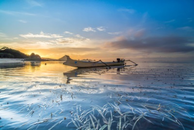 Village Lamalera sur l'île Lomblen, Indonésie - Remise Croisières ...